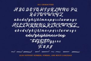 Flanders Script - Letterhend Studio