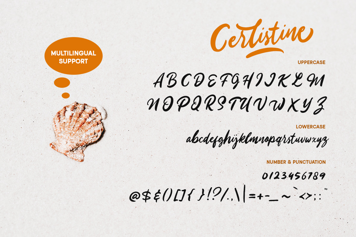 Cerlistine - Handwritten Script - Letterhend Studio