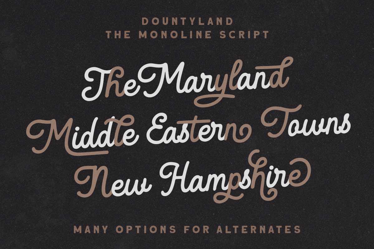 Dountyland - Monoline Script | Letterhend Studio
