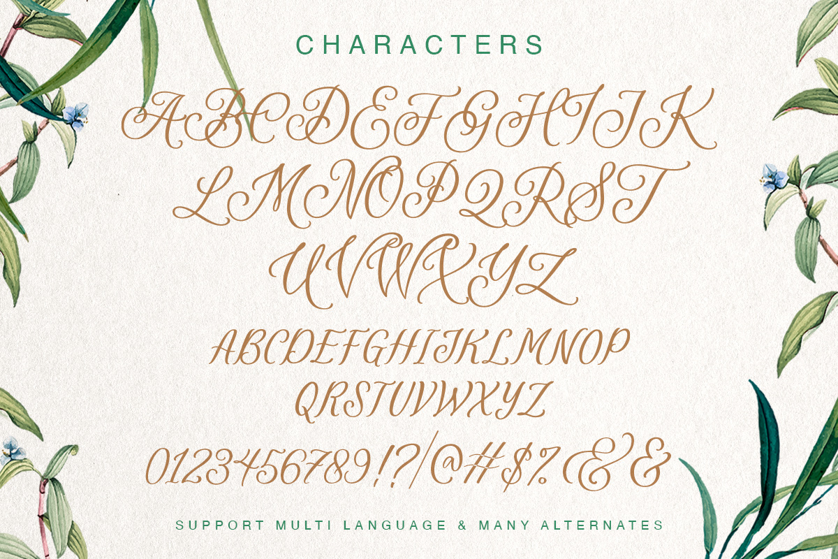 Revisella Typeface - Letterhend Studio