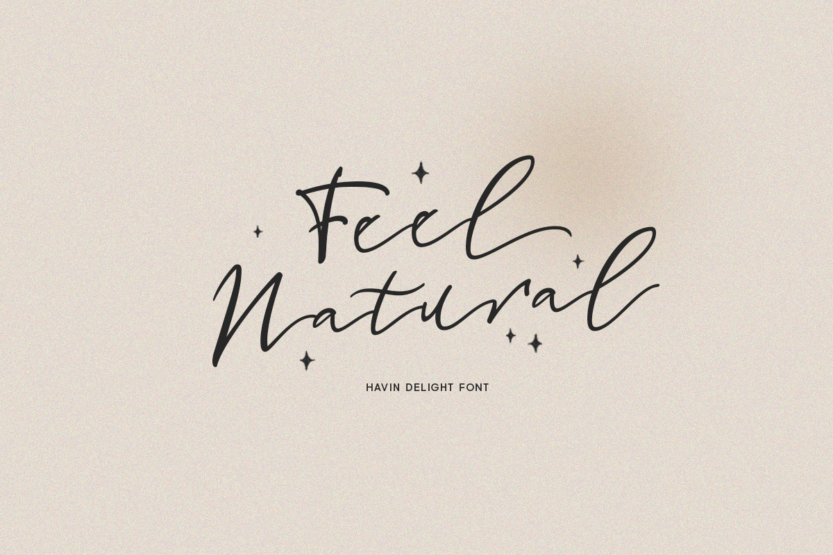 Havin Delight - Handwritten Font | Letterhend Studio