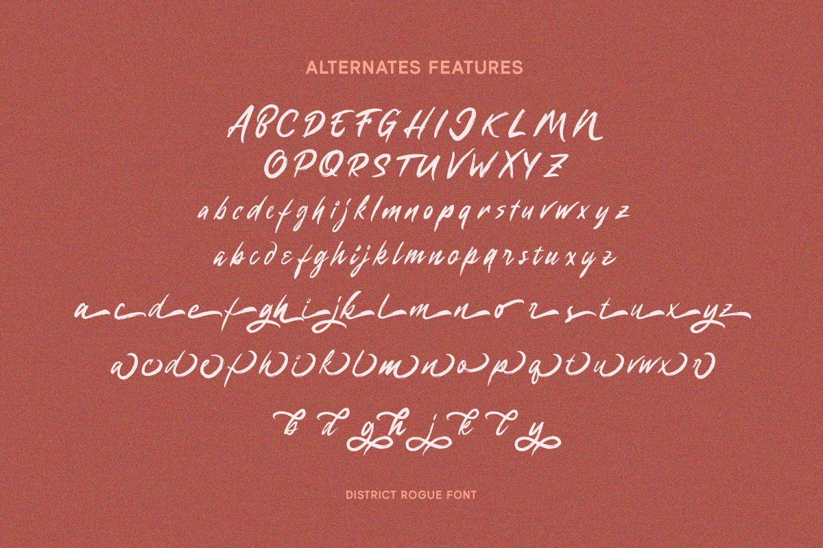 District Rogue - Handrawn Brush Font | Letterhend Studio
