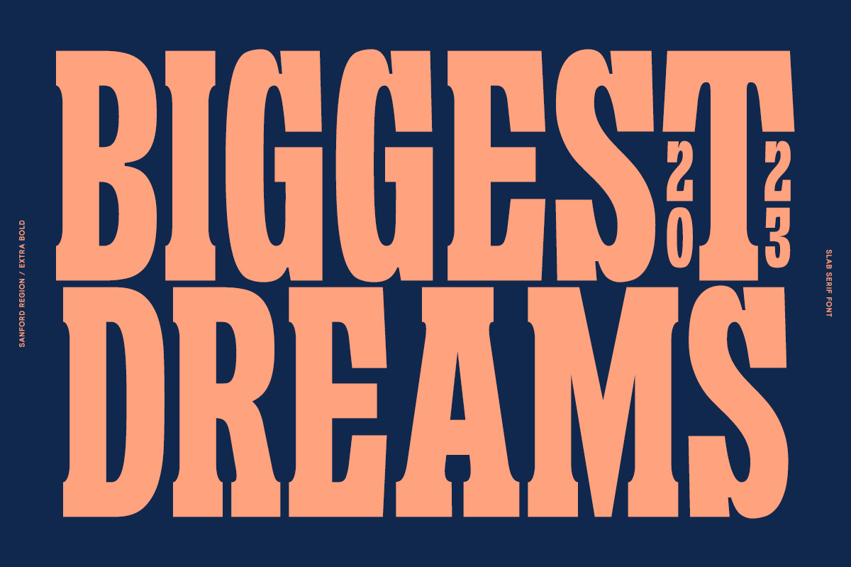 Sanford Region - Variable Font - Letterhend Studio